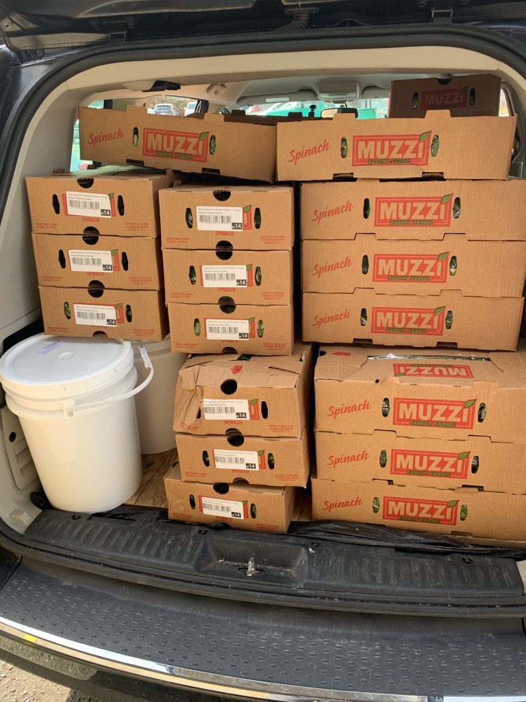 Dan’s Legacy and Laid-off Chefs Create Meals from Surplus Food to Feed ...